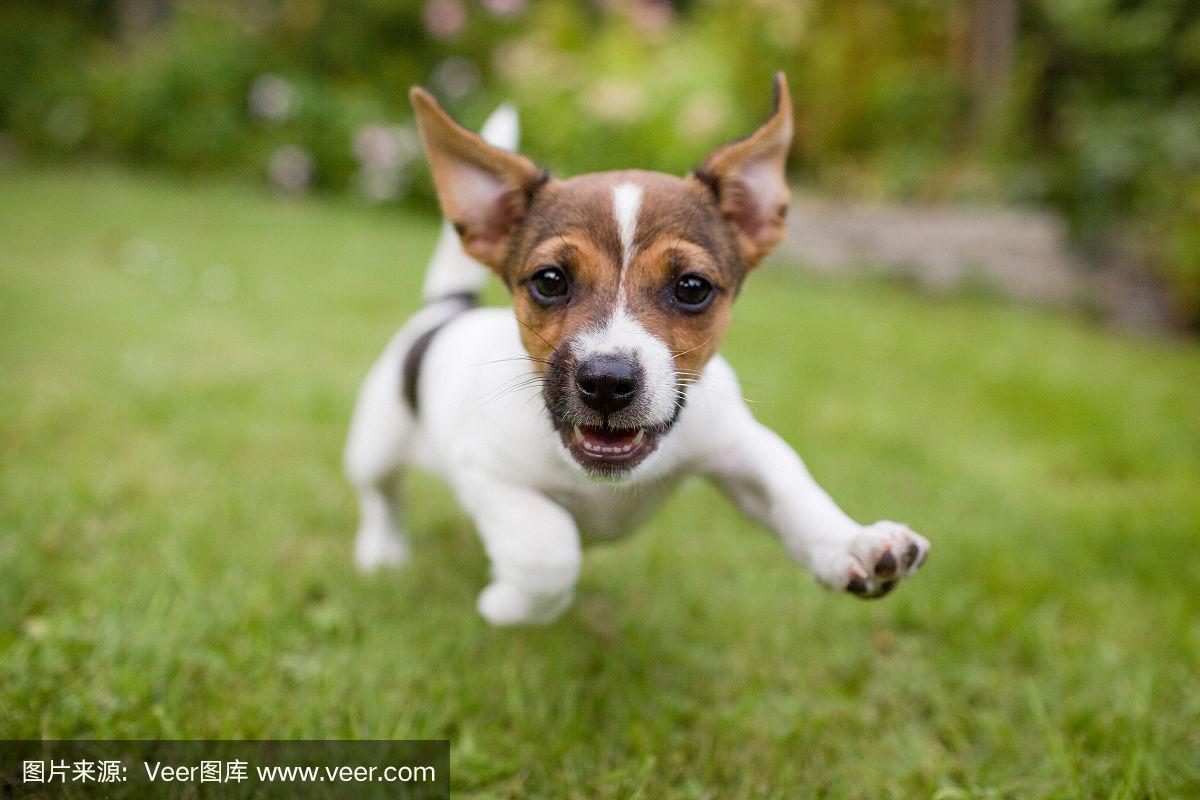 Tag: Hugo - 莱特雷-letere